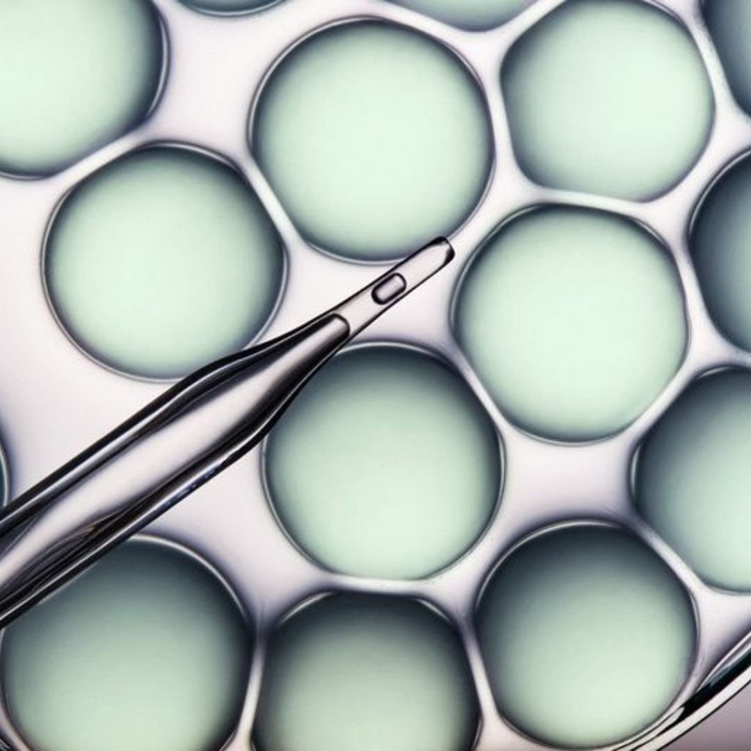 Hydration and Elasticity: Why Your Skin Needs Silica During Hot Weather